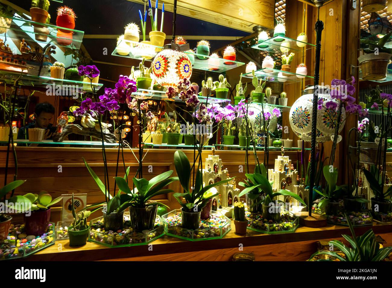 Bursa Turkey.. Flowers, plants and Turkish lights in Market local ...