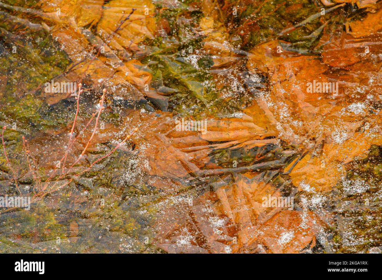 Ice patterns in a frozen puddle, Greater Sudbury, Ontario, Canada Stock ...