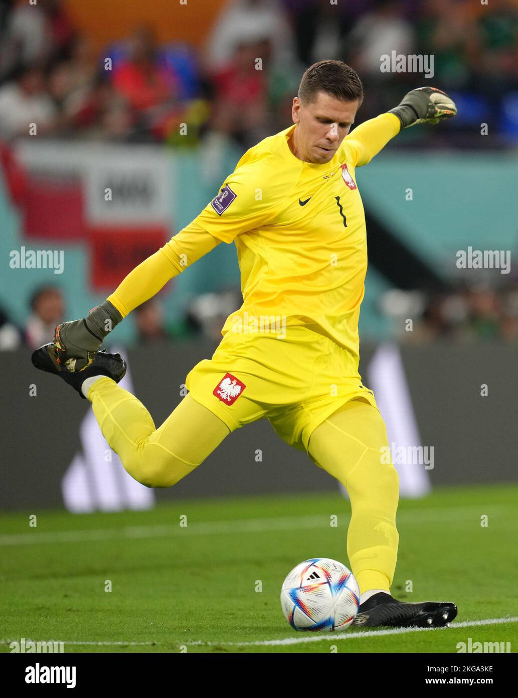 Poland goalkeeper Wojciech Szczesny during the FIFA World Cup Group C ...