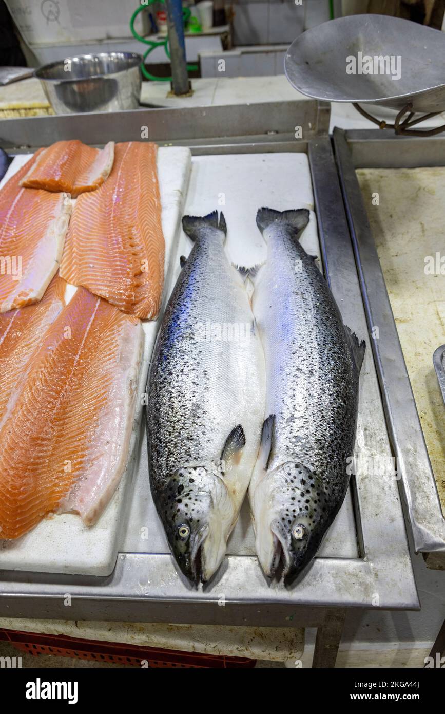 Fresh salmon offered at the Central Market (Mercado Central) in ...