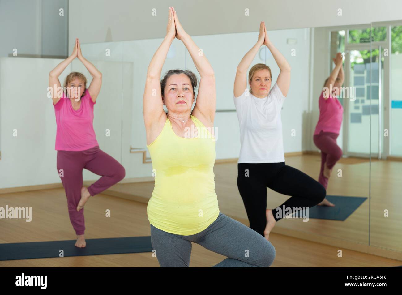 Women are doing tree pose Stock Photo - Alamy
