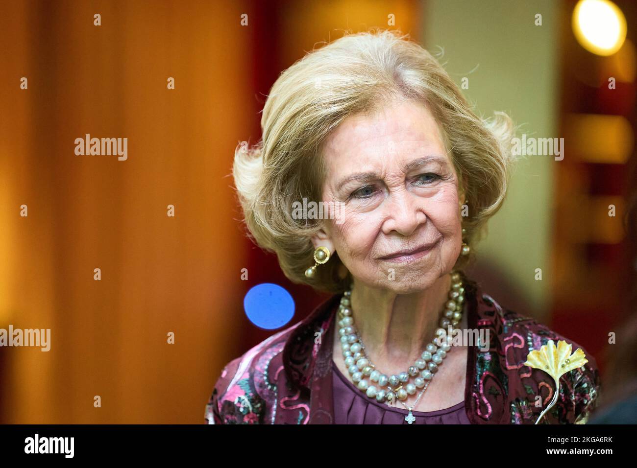 Madrid, Madrid, Spain. 22nd Nov, 2022. The former Queen Sofia attends ...