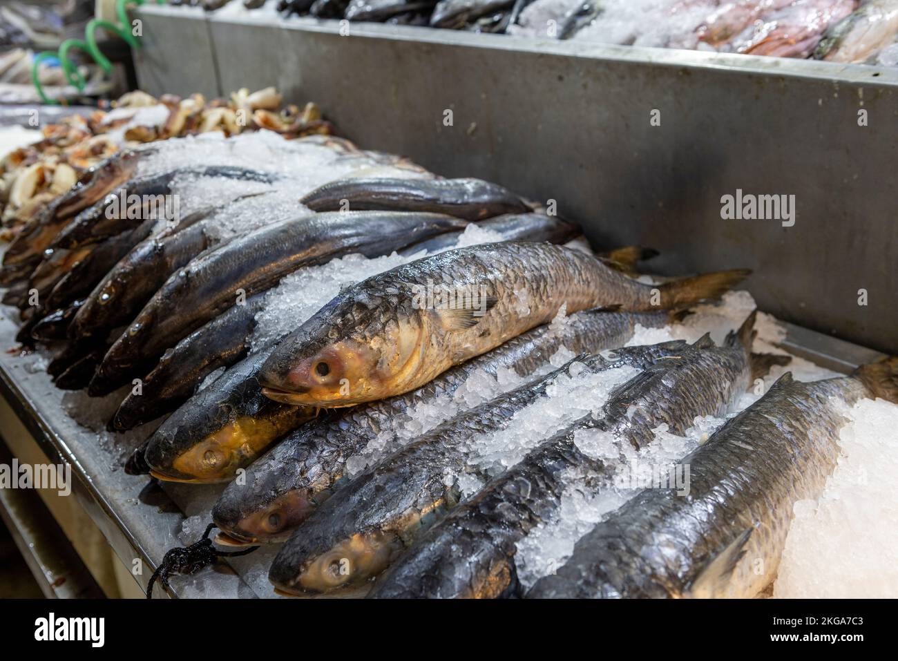 Fresh fish at the Central Market (Mercado Central) in Santiago de Chile ...