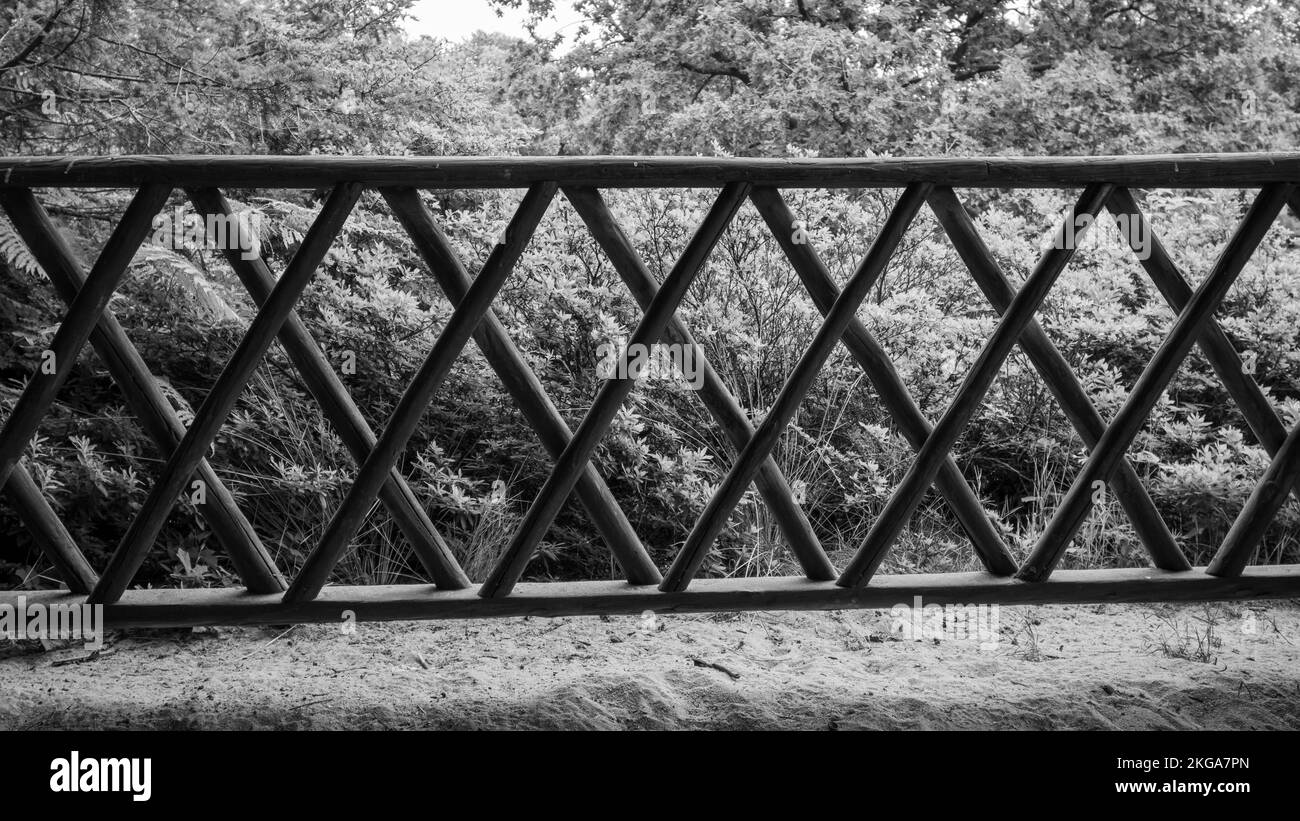 A grayscale shot of wooden fence with trees in the background Stock ...