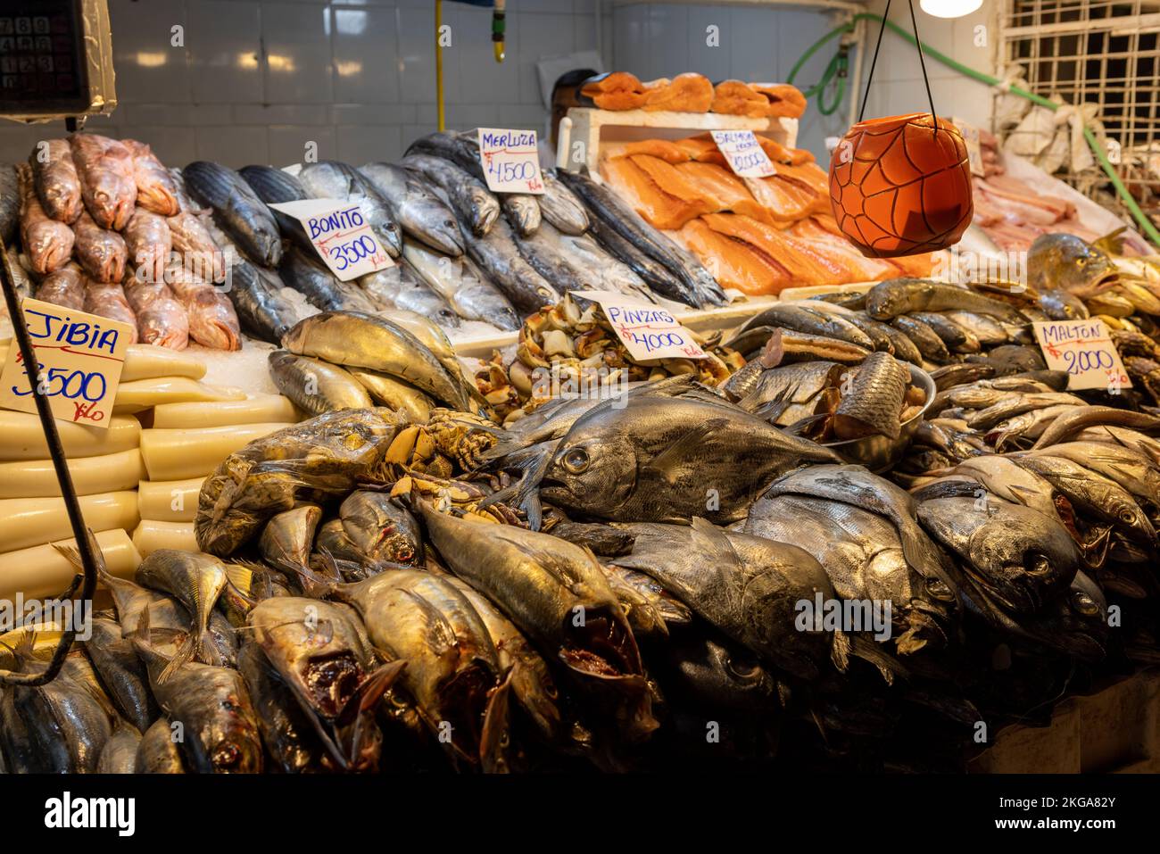 Selection of fish and seafood at the Central Market (Mercado Central ...