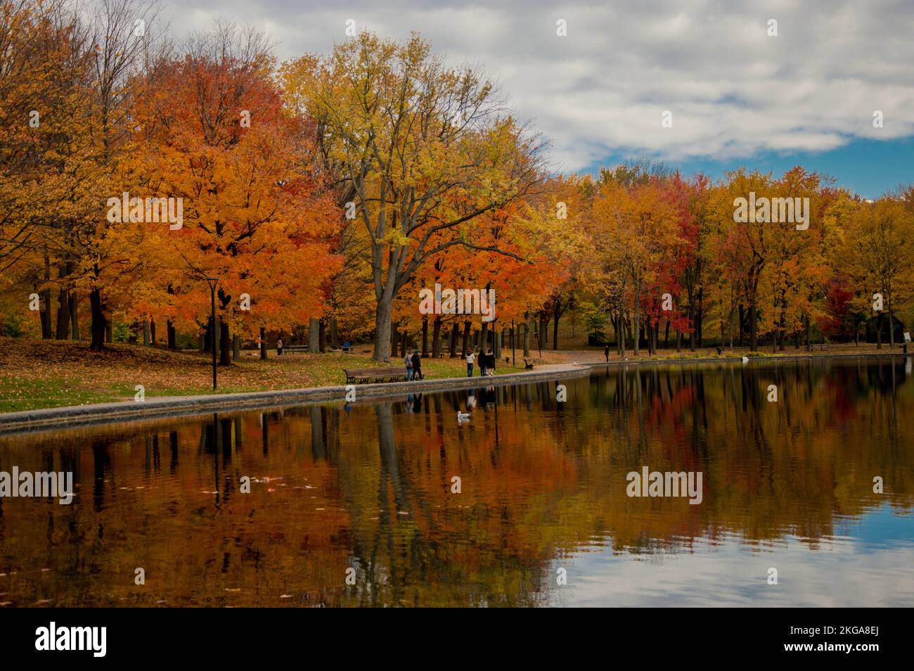 Fall season in Quebec Stock Photo - Alamy