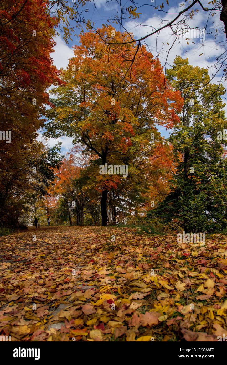 Fall season in Quebec Stock Photo - Alamy