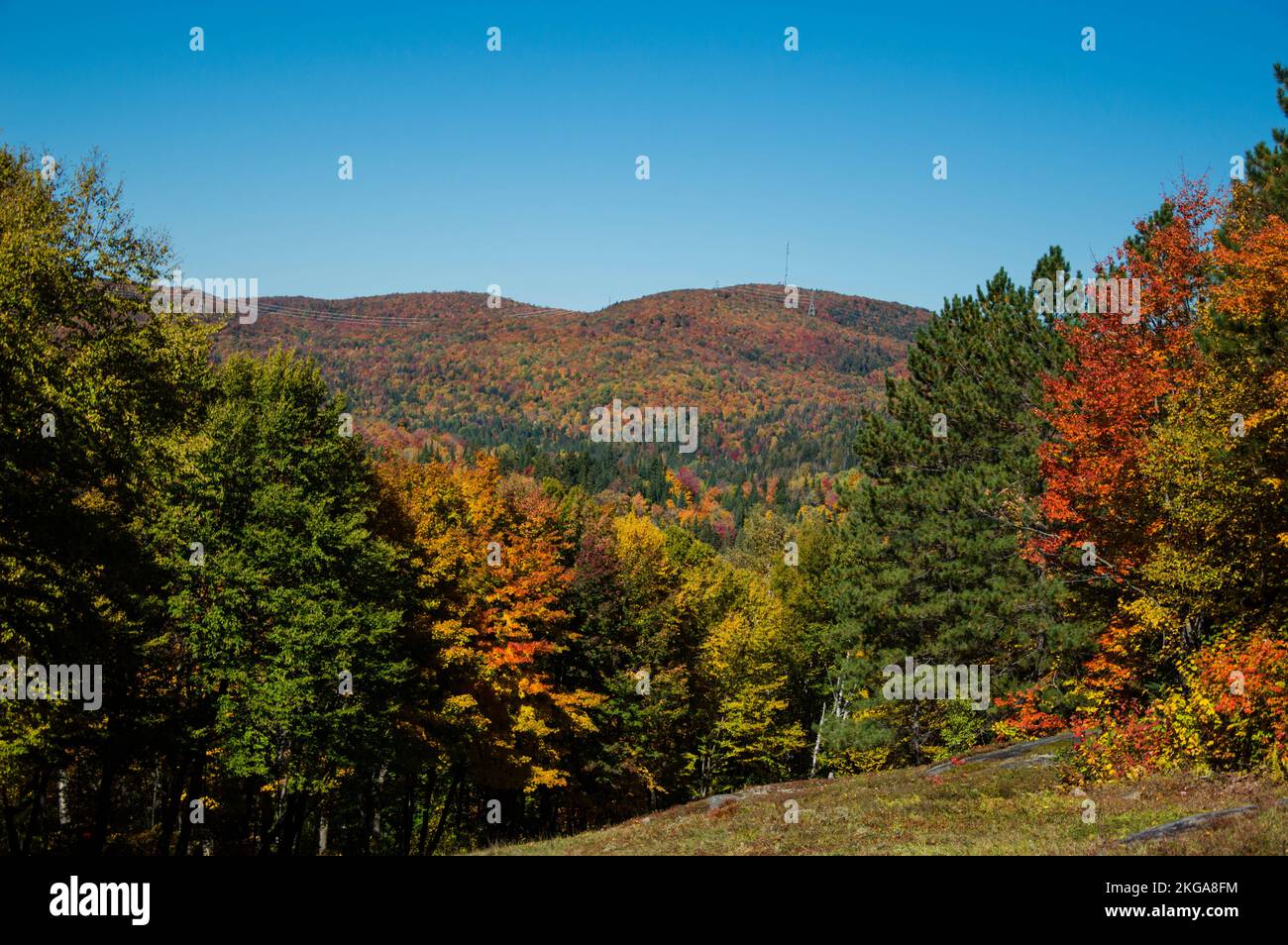 Fall season in Quebec Stock Photo - Alamy