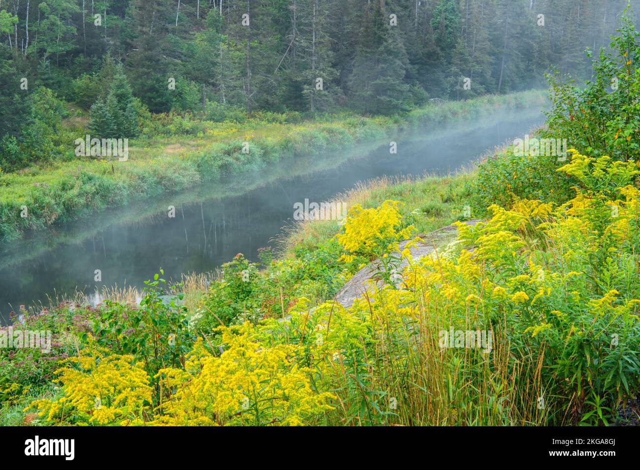Junction Creek at dawn, Greater Sudbury, Ontario, Canada Stock Photo ...