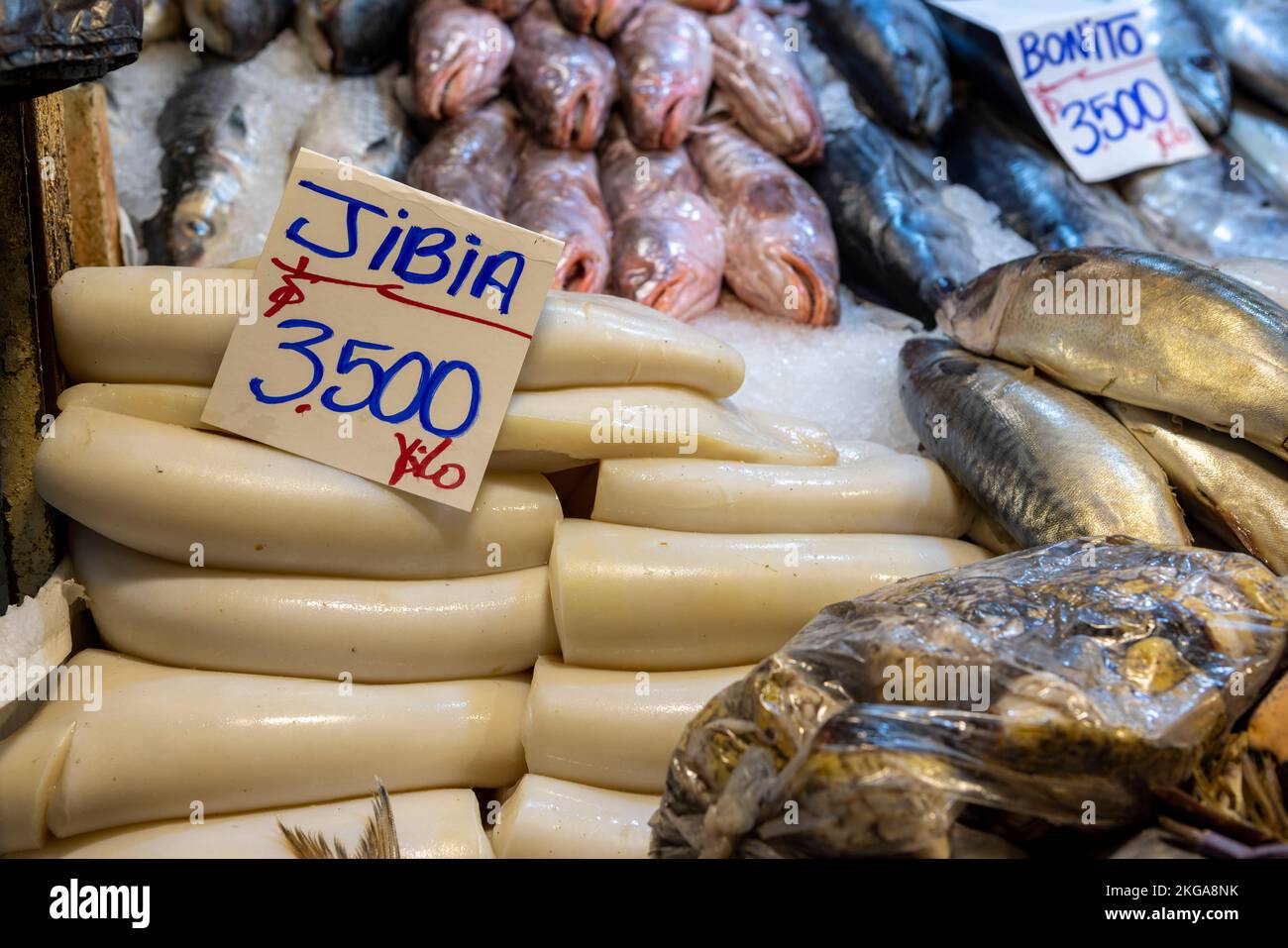 Selection of fish and seafood at the Central Market (Mercado Central ...