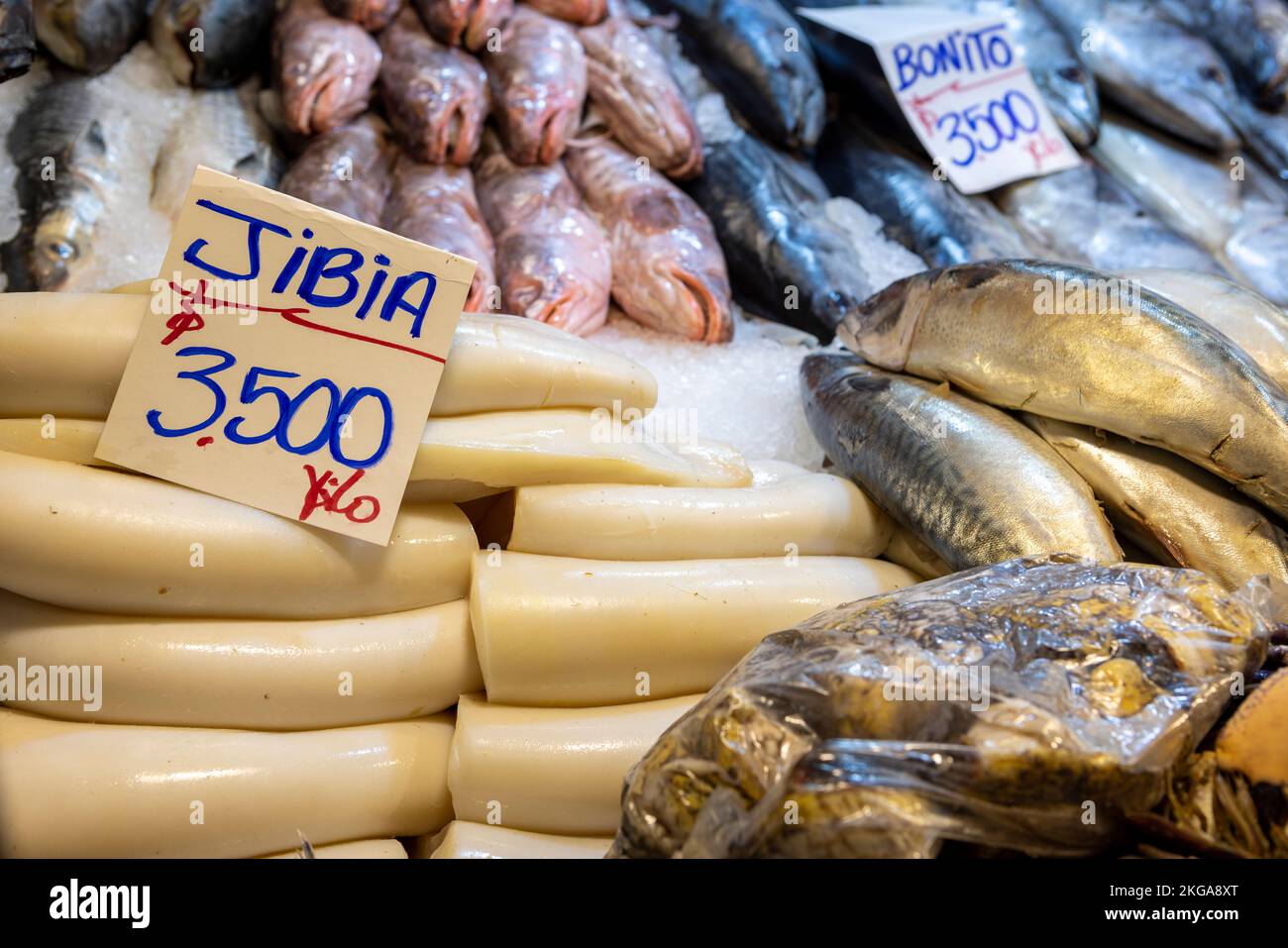 Selection of fish and seafood at the Central Market (Mercado Central ...