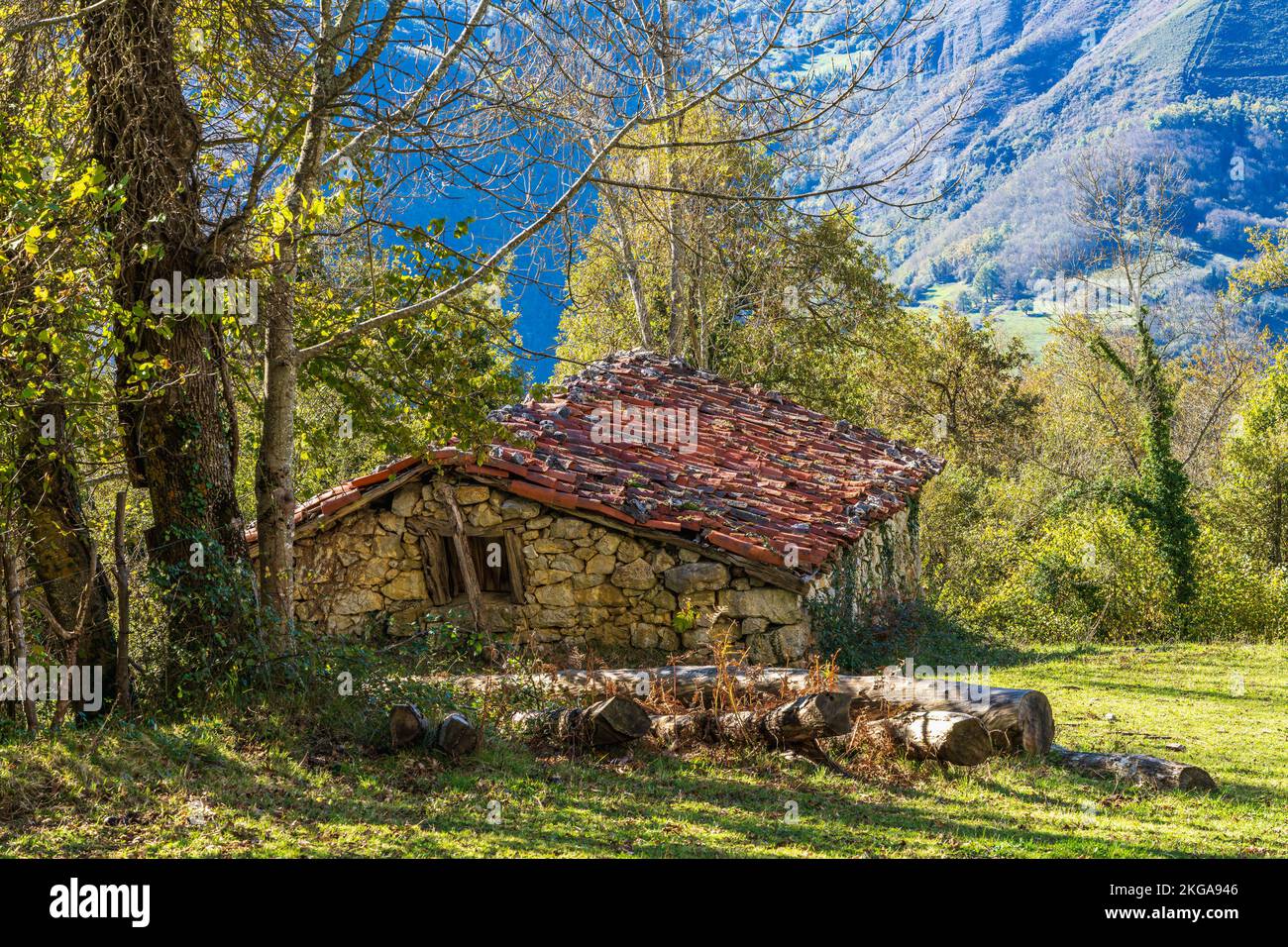 Landscape with stone cabin in meadow of the council of Teverga, Teberga ...