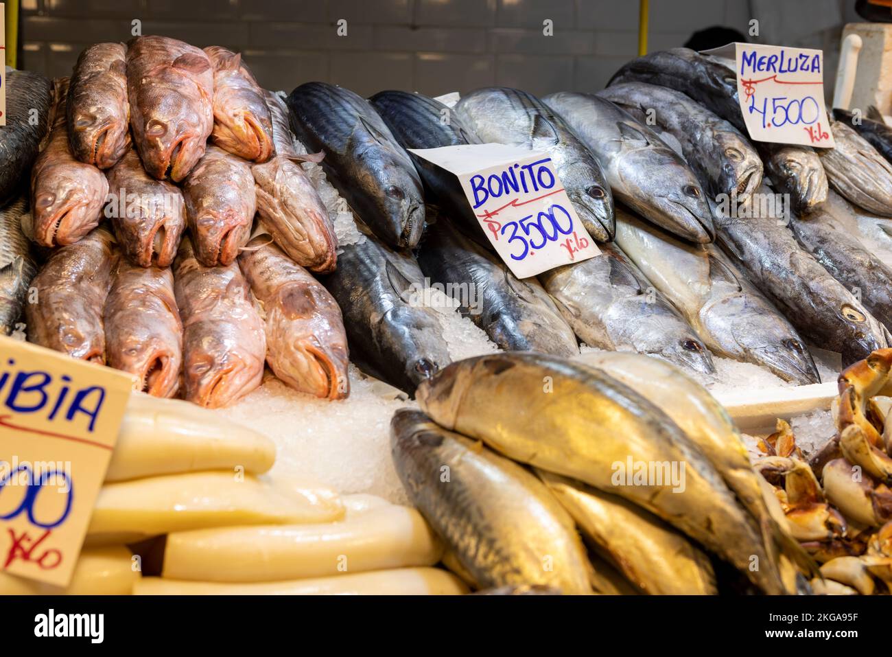 Selection of fish and seafood at the Central Market (Mercado Central ...