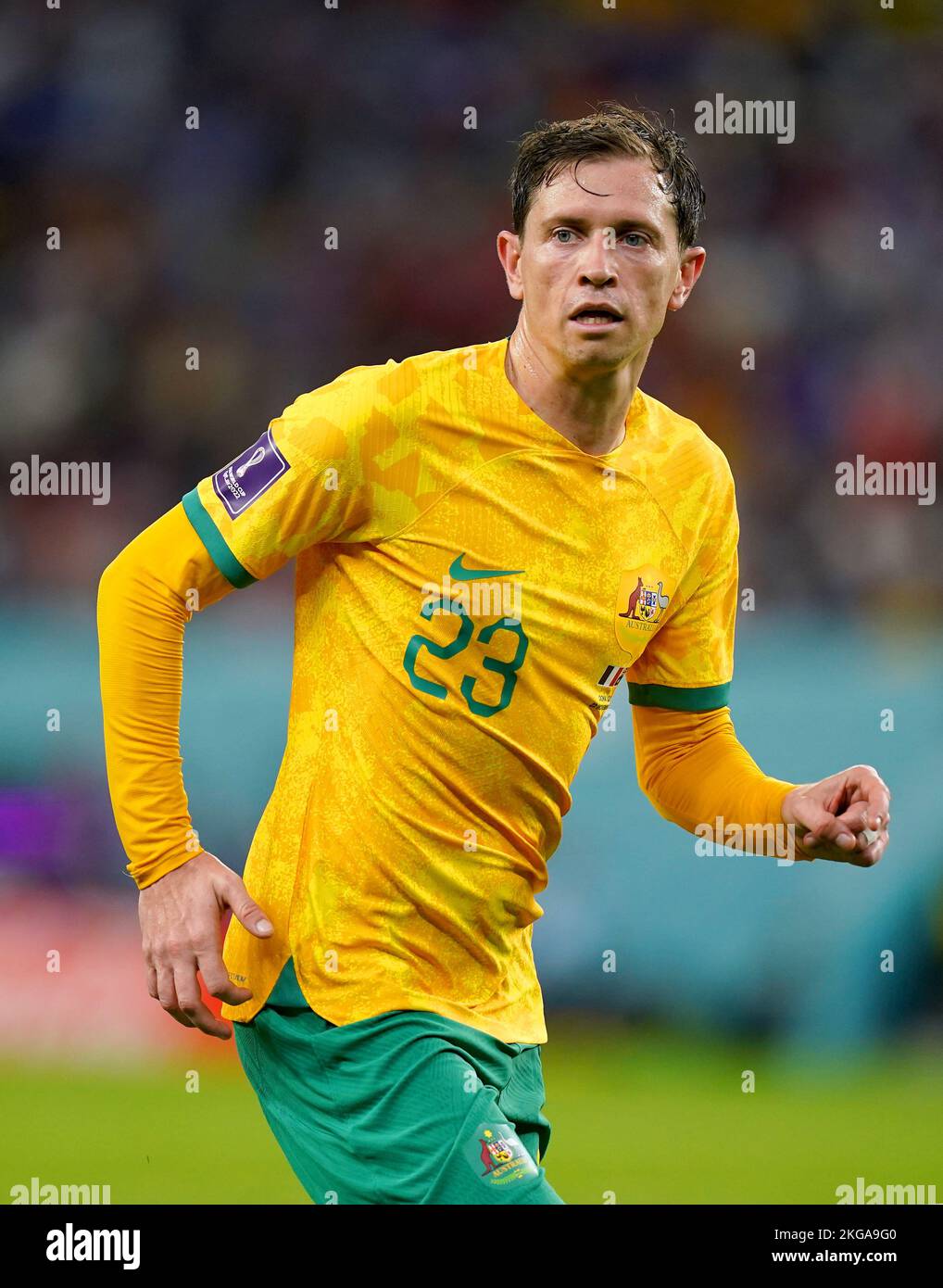 Australia's Craig Goodwin during the FIFA World Cup Group D match at Al ...