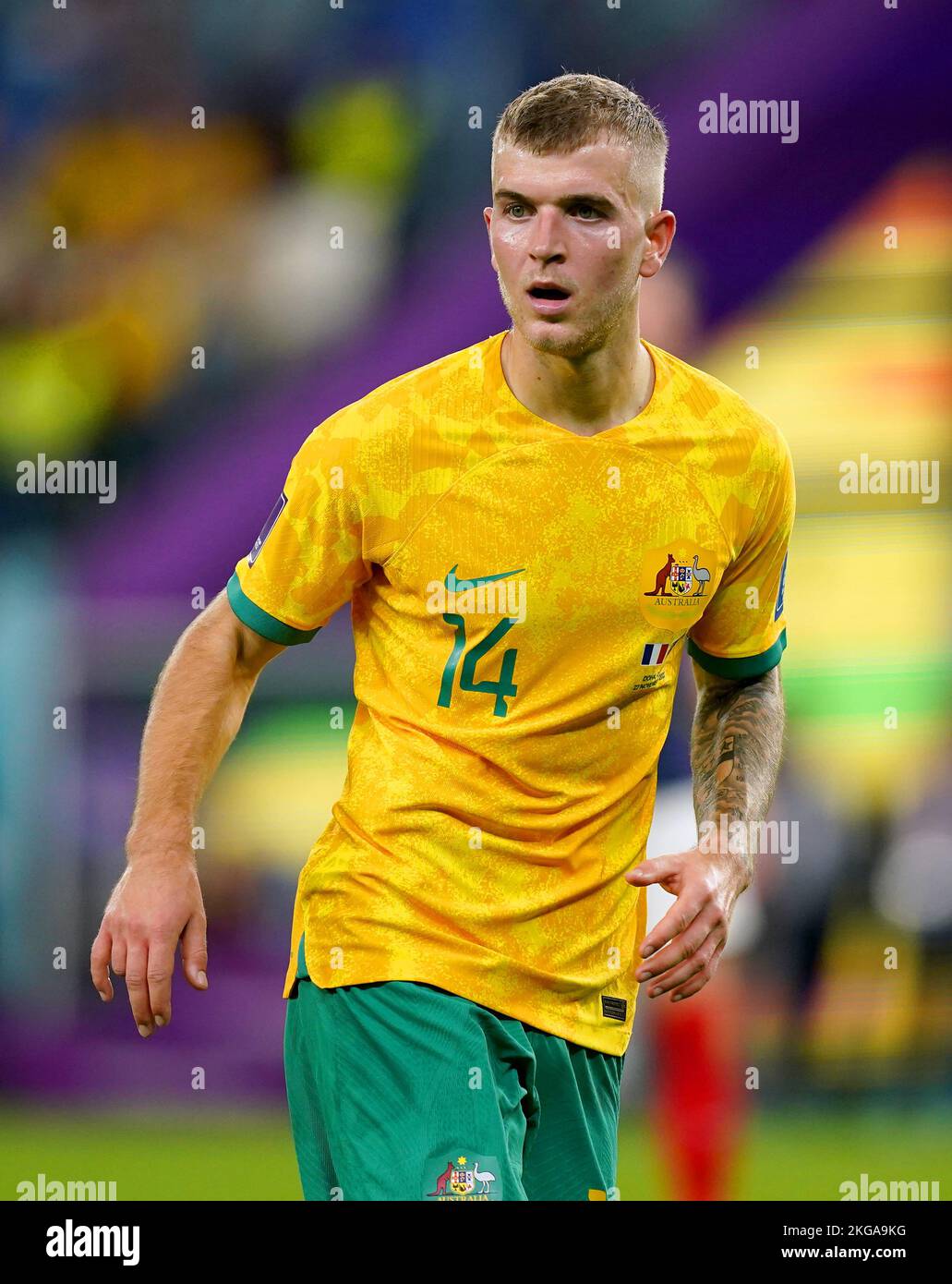 Australia's Riley Mcgree during the FIFA World Cup Group D match at Al ...