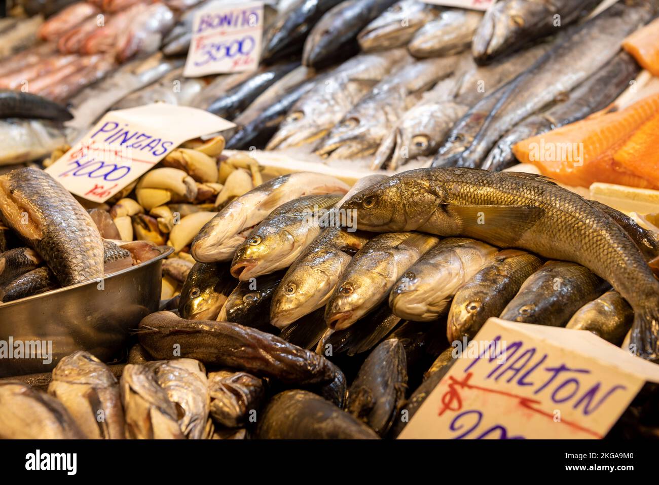 Fresh fish at the Central Market (Mercado Central) in Santiago de Chile ...