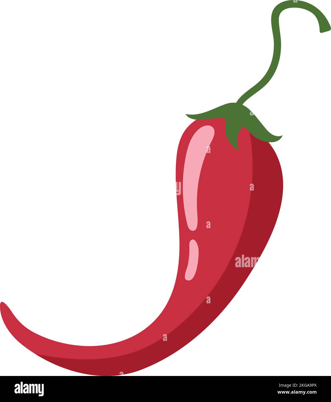 fresh chile pepper vegetable Stock Vector Image & Art - Alamy