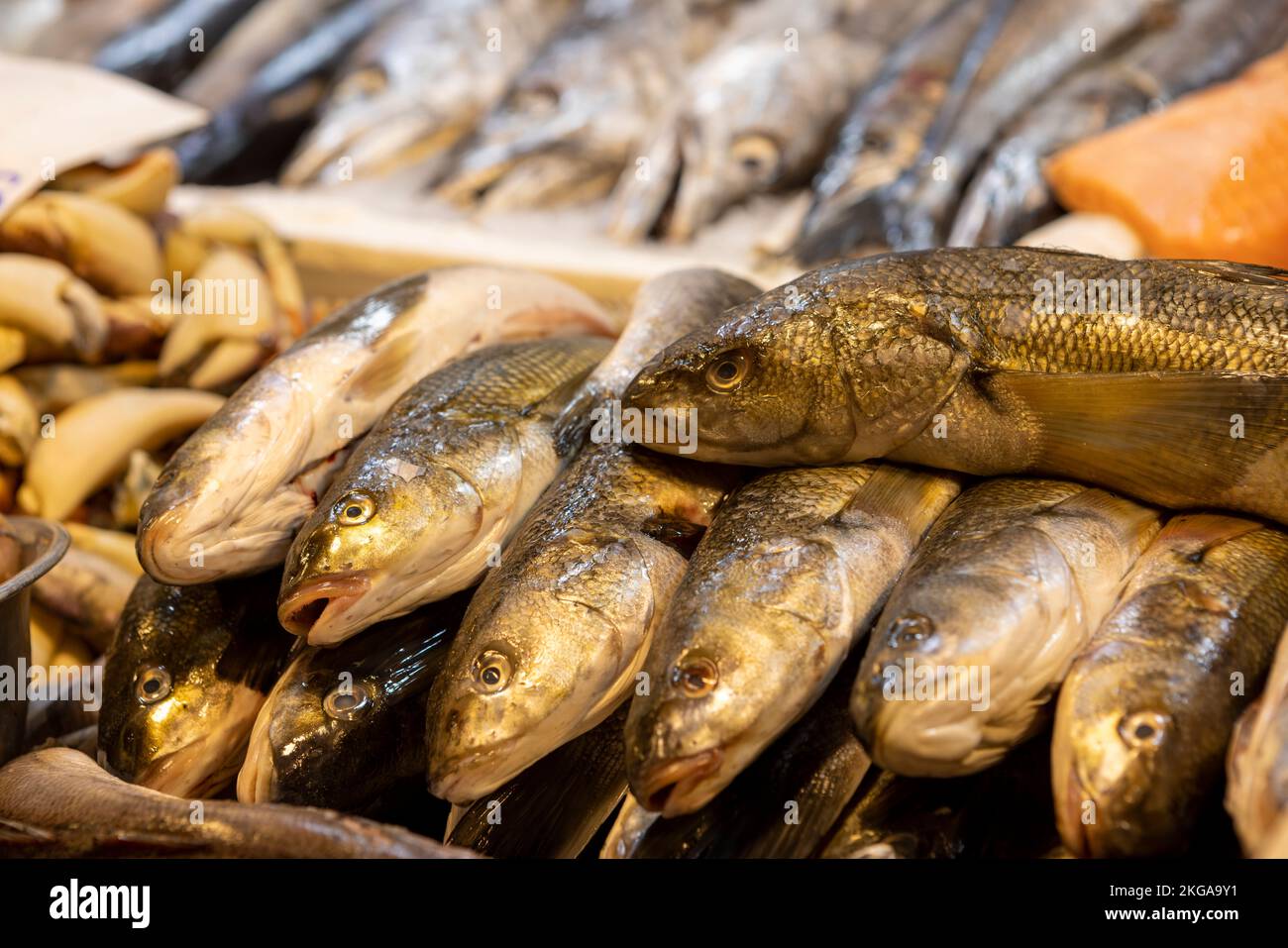 Fresh fish at the Central Market (Mercado Central) in Santiago de Chile ...