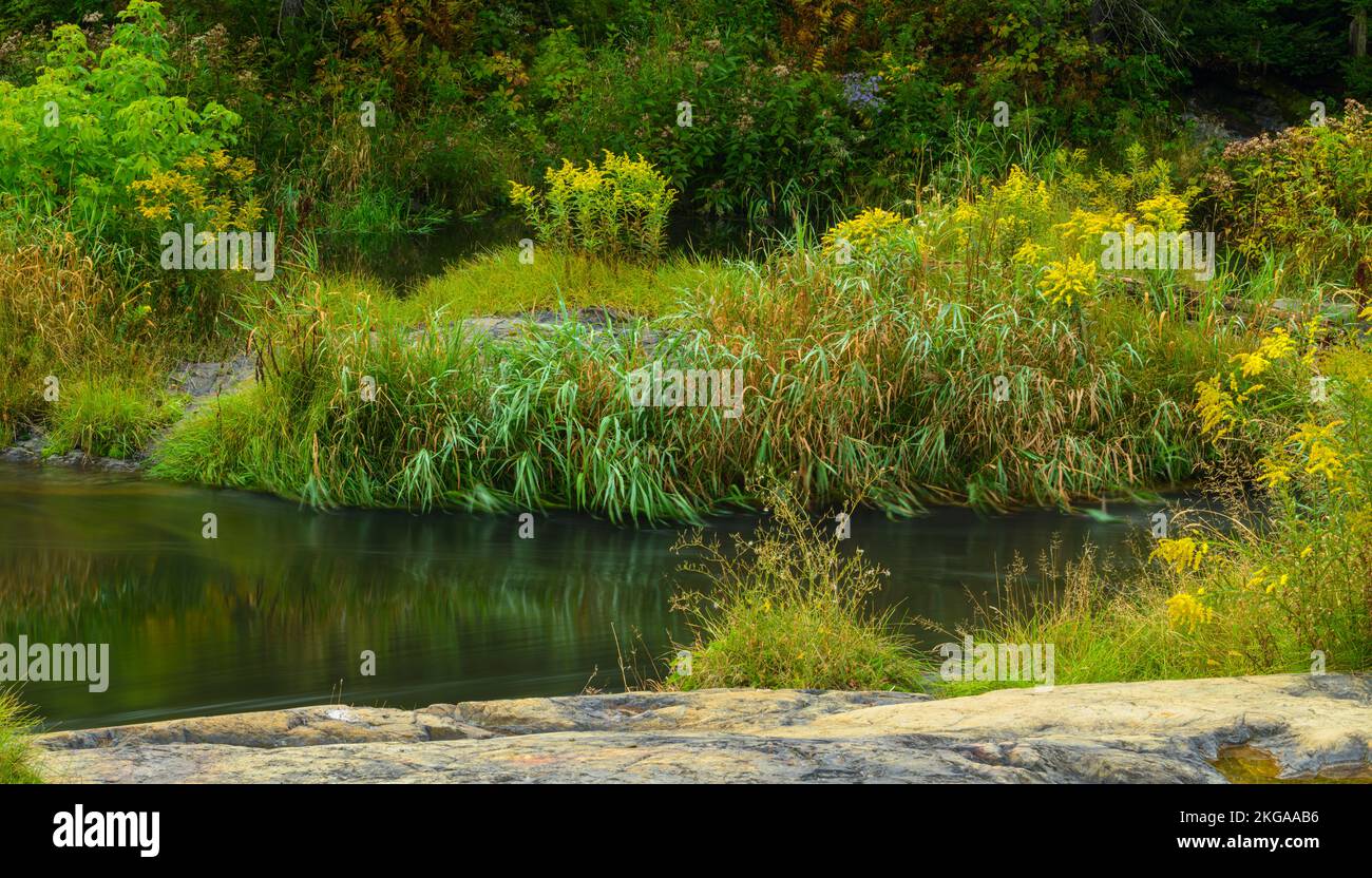 Junction Creek in late summer, Greater Sudbury, Ontario, Canada Stock ...