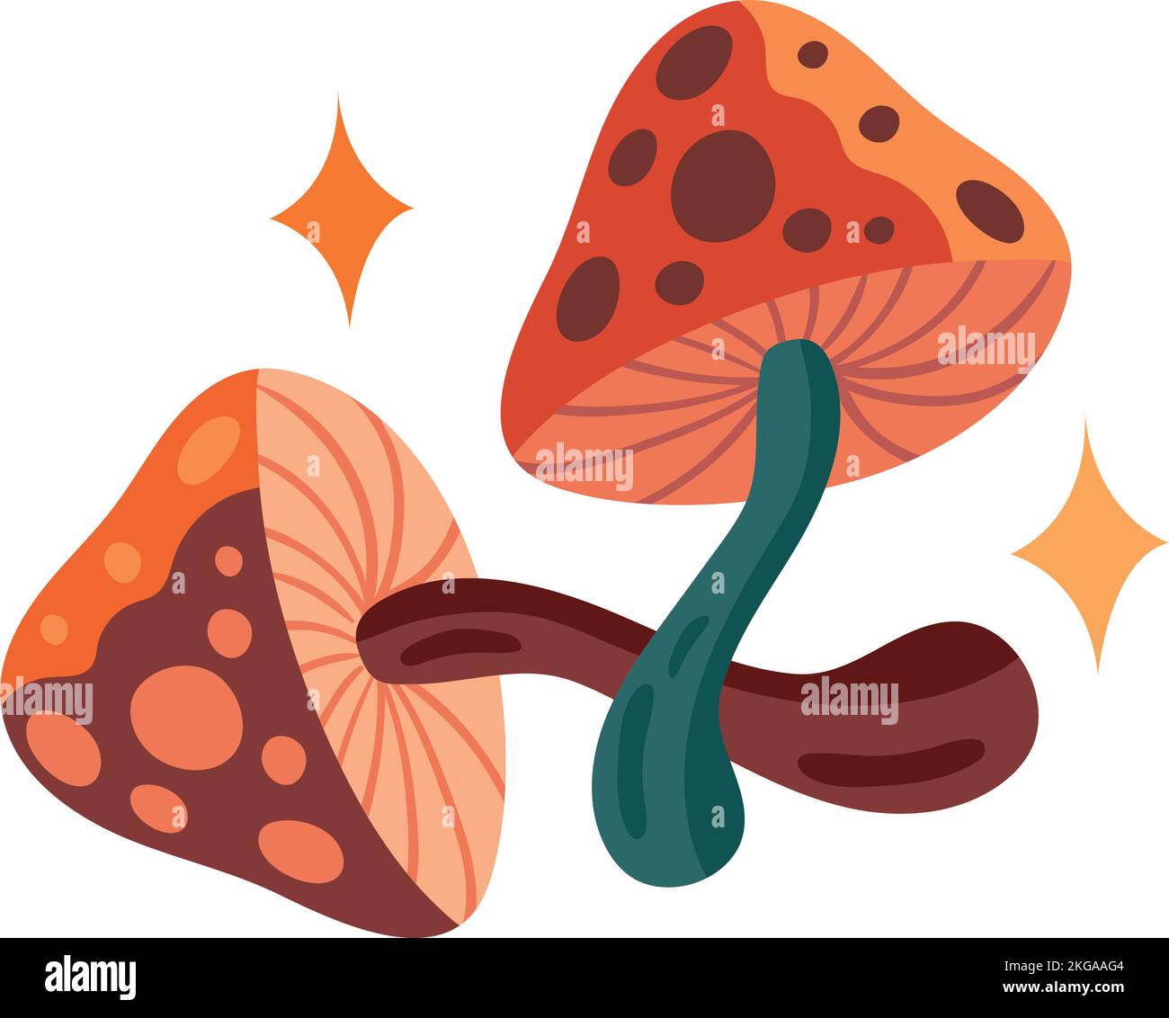 fungus garden Boho style Stock Vector Image & Art - Alamy