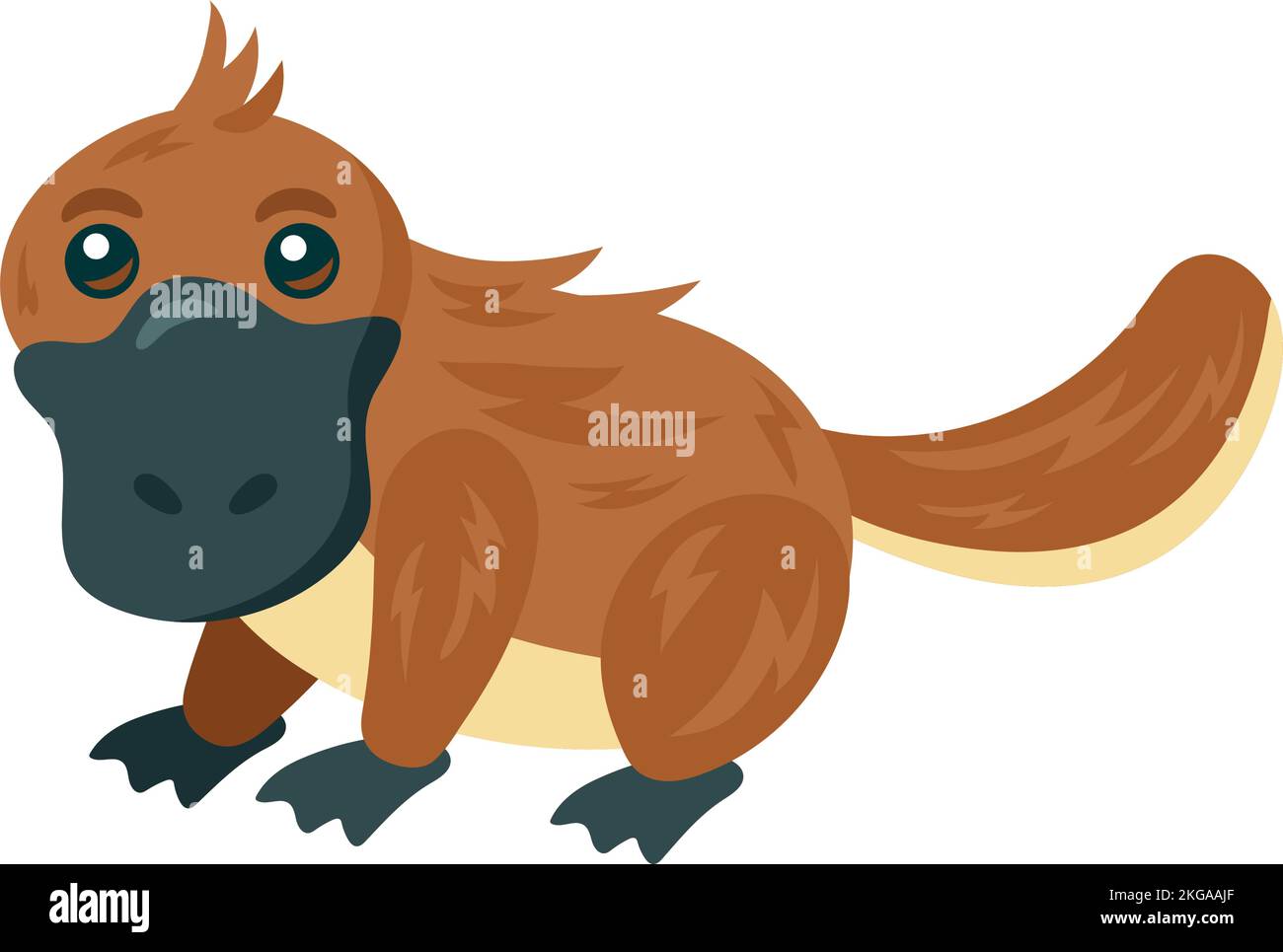 platypus traditional australian animal Stock Vector Image & Art - Alamy