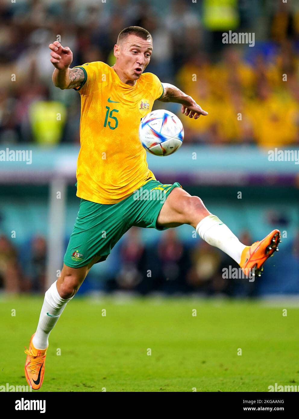 Australia's Mitchell Duke during the FIFA World Cup Group D match at Al ...