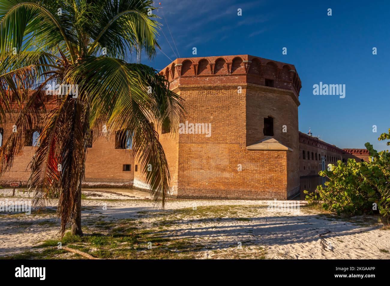 A palm tree in front of the ruins of Fort Jefferson in the Dry Tortugas ...