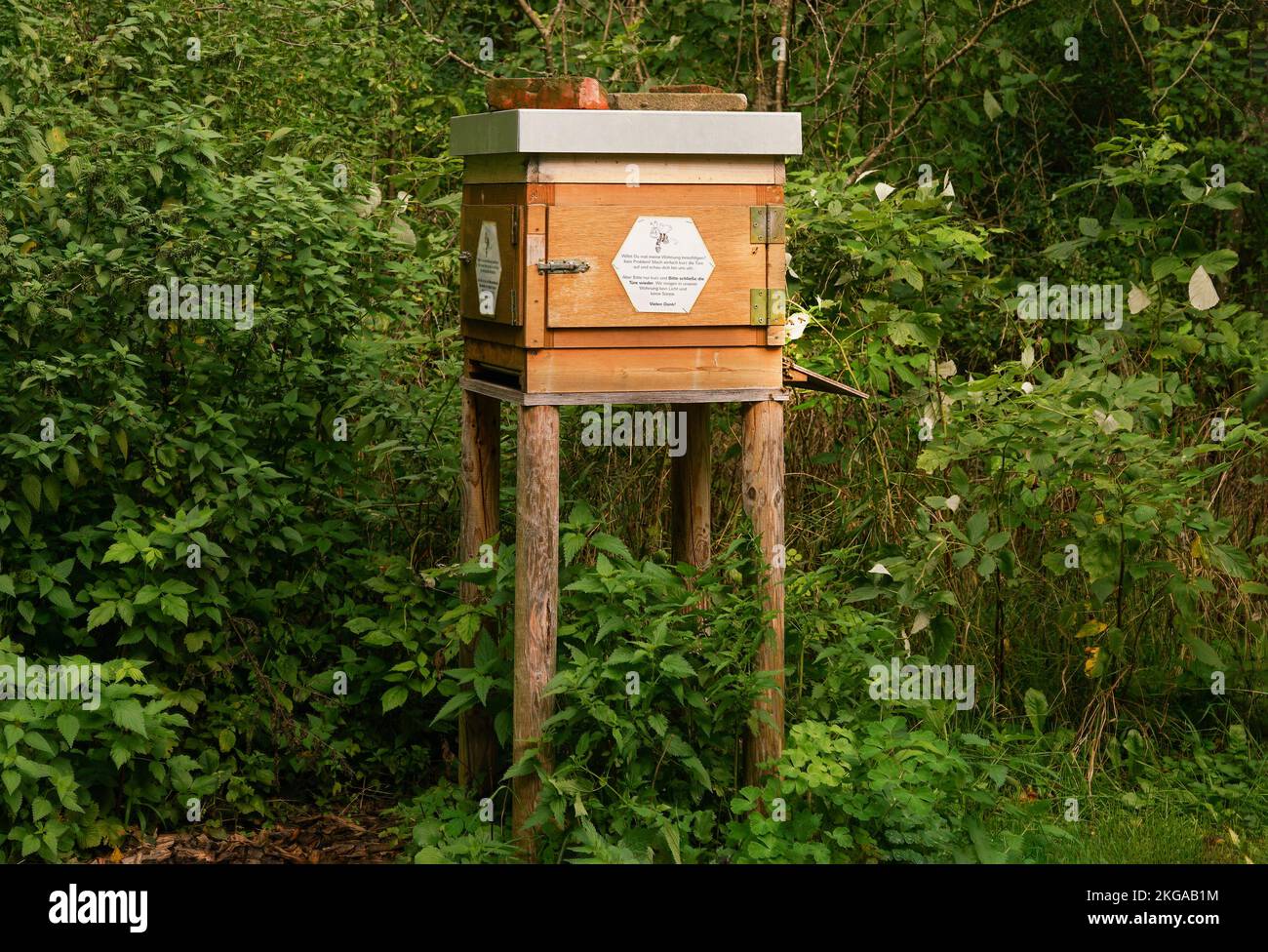Beehive: at the bottom right of this box is the entrance for bees and ...