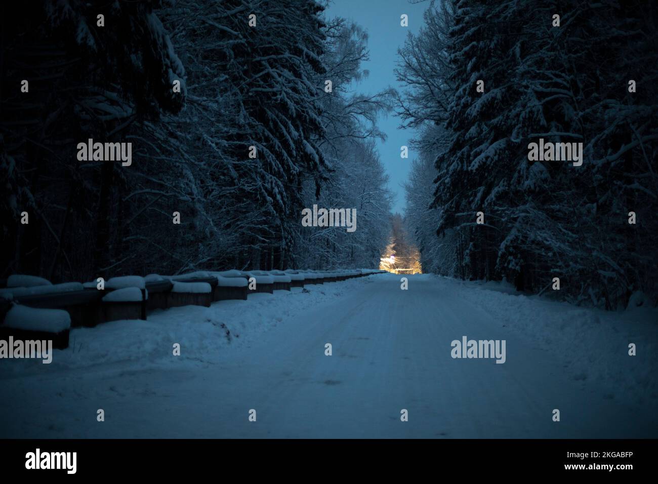Road at night in forest. Light at end of road. Dark alley. Winter track ...