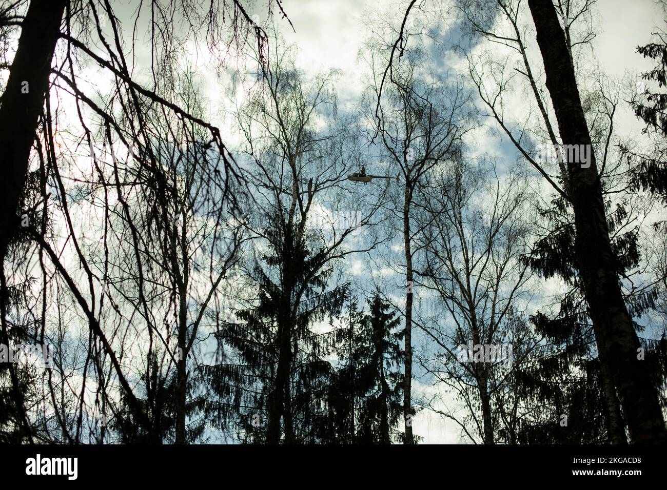 Natural landscape. Wooded area. Landscape in city park Stock Photo - Alamy