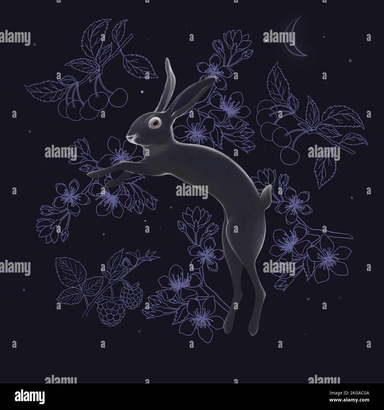 Chinese Art Rabbit Moon