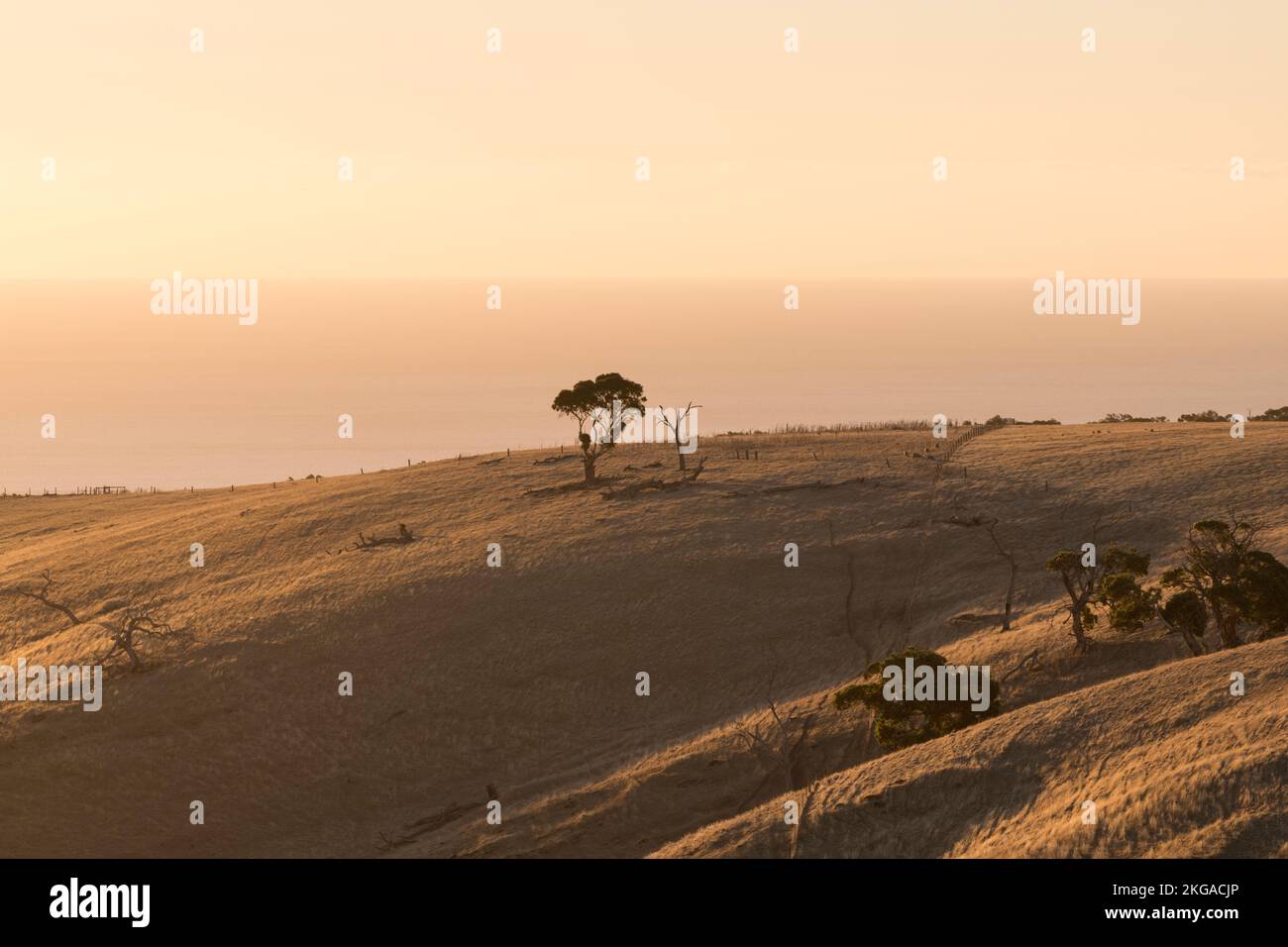 The grazed golden hills of the Fleurieu Pensinsula, with the ocean ...
