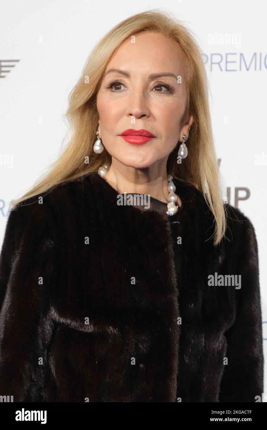 Madrid, Spain. 22nd Nov, 2022. Carmen Lomana attends the painting ...