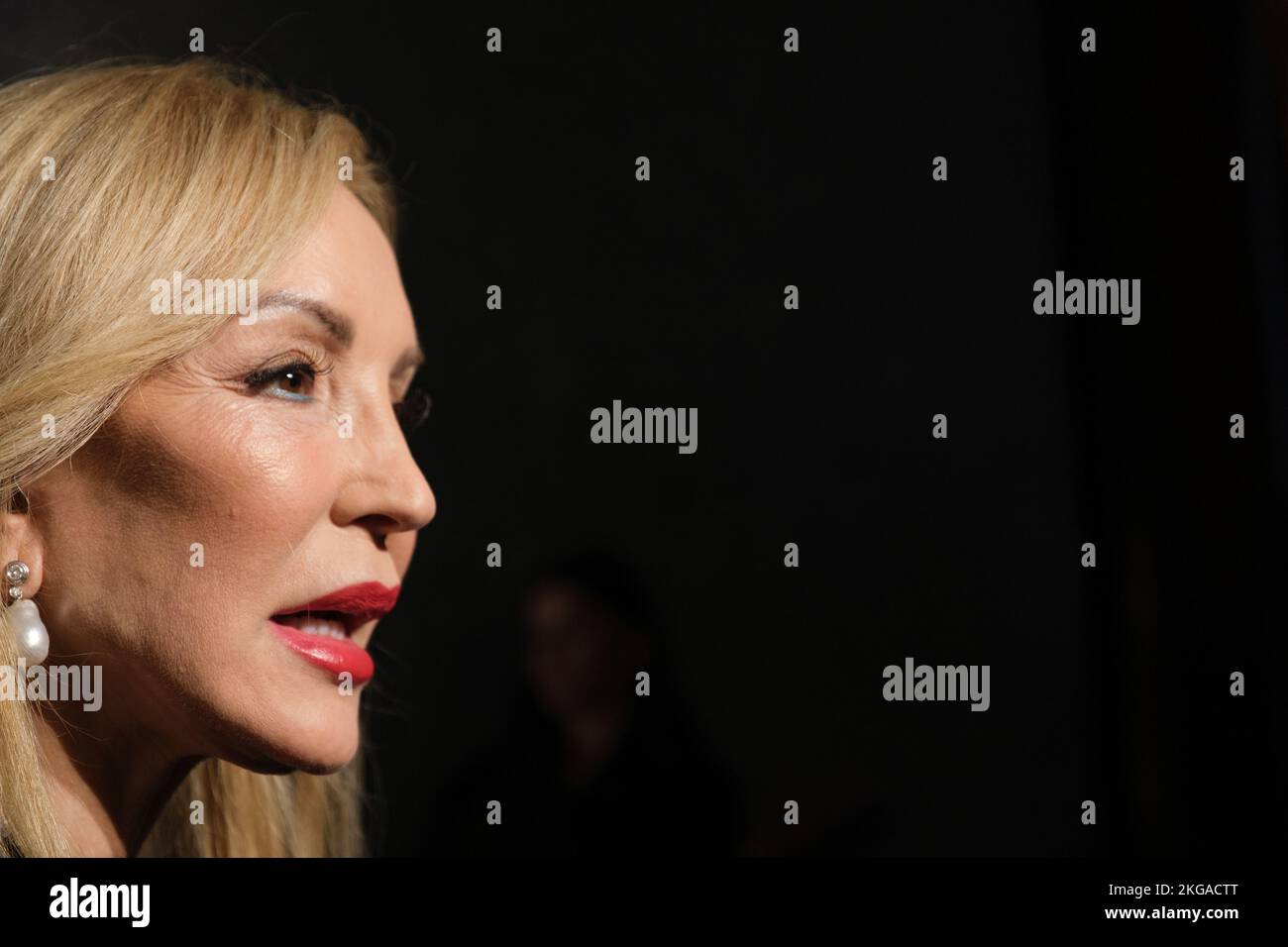 Madrid, Spain. 22nd Nov, 2022. Carmen Lomana attends the painting ...