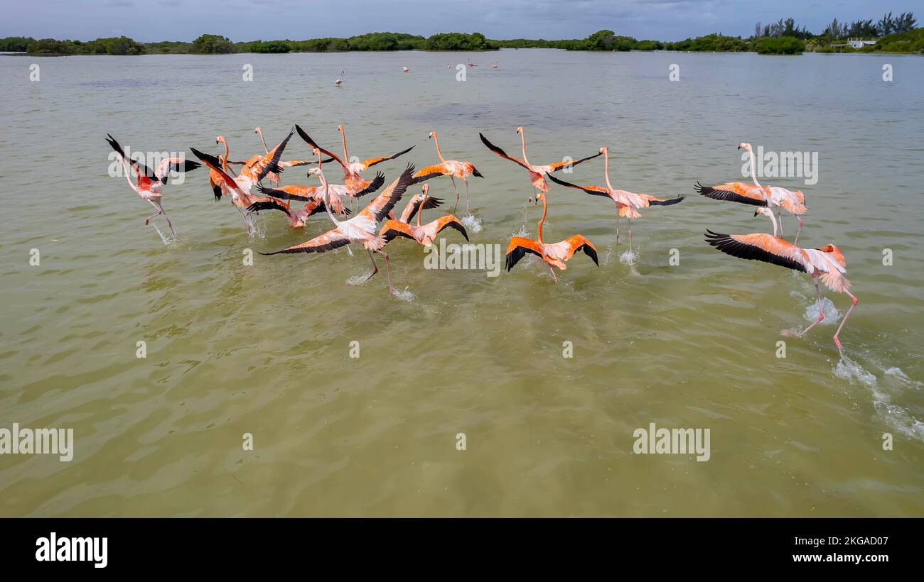 20221018 hi-res stock photography and images - Alamy