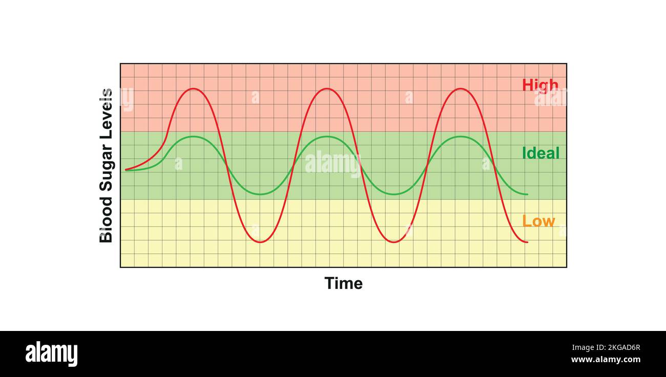 Blood Sugar Balance. Vector Illustration Stock Vector Image & Art - Alamy