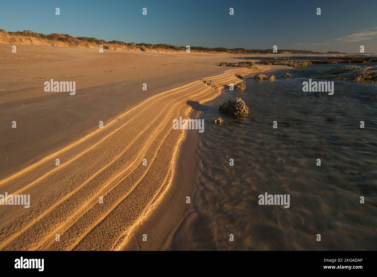 Here, caught in the golden sunset light at West beach, ridges of sand ...
