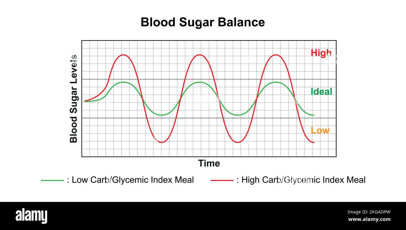 Glycemic index chart Stock Vector Images - Alamy