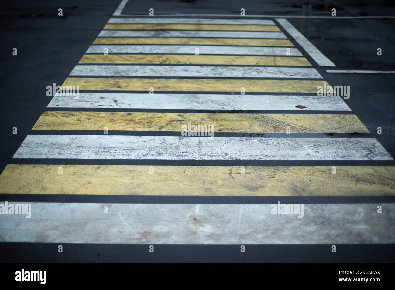 Pedestrian crossing across road in rain. Road markings for pedestrians ...