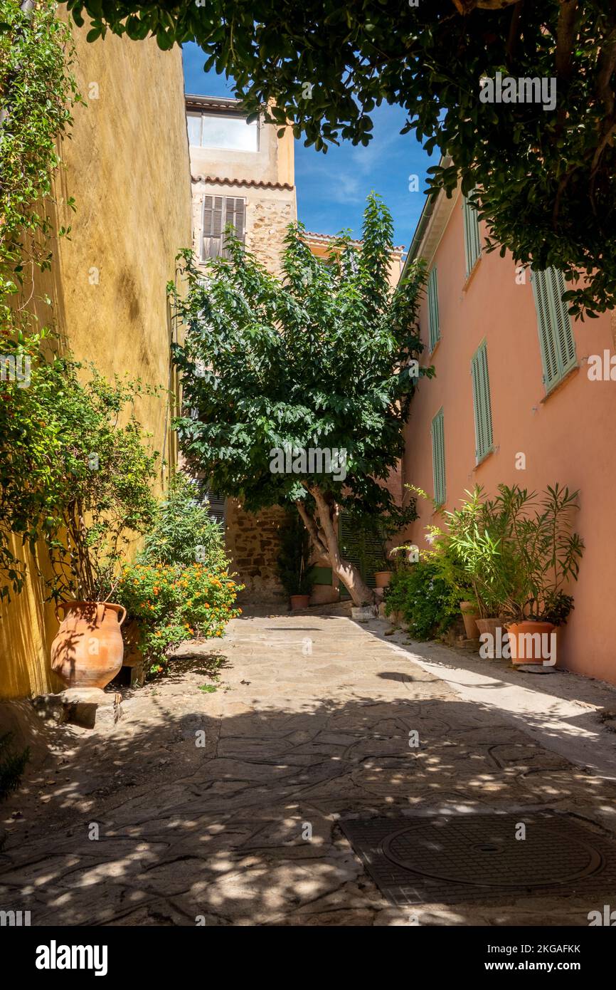 Bormes-les-Mimosas charming village of the south of France Stock Photo - Alamy