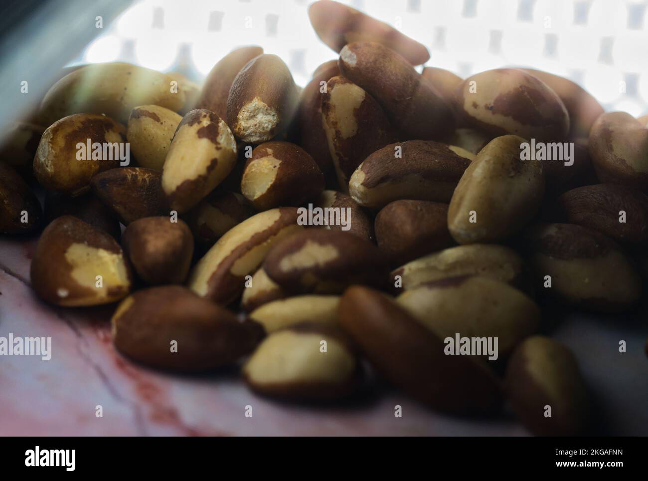Brazil Nuts heart healthy snake close up shot Stock Photo - Alamy