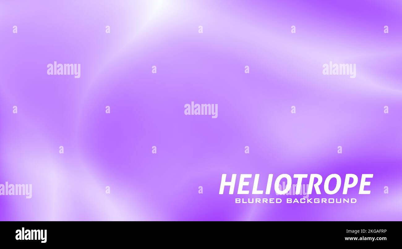Abstract heliotrope blurred smooth background. Artistic light violet ...