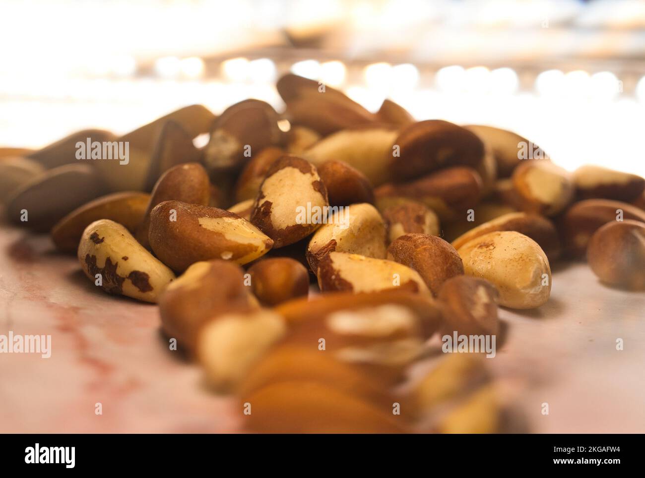 Brazil Nuts heart healthy snake close up shot Stock Photo - Alamy