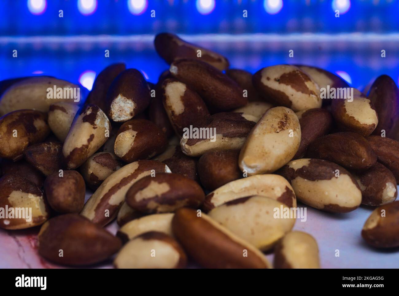Brazil Nuts heart healthy snake close up shot Stock Photo - Alamy