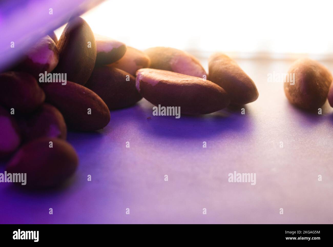 Brazil Nuts heart healthy snake close up shot Stock Photo - Alamy