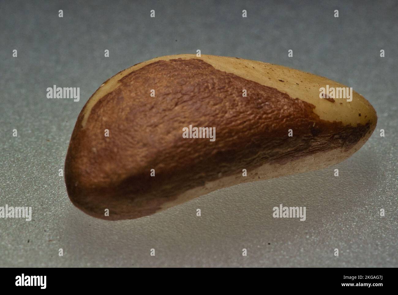 Brazil Nuts heart healthy snake close up shot Stock Photo - Alamy