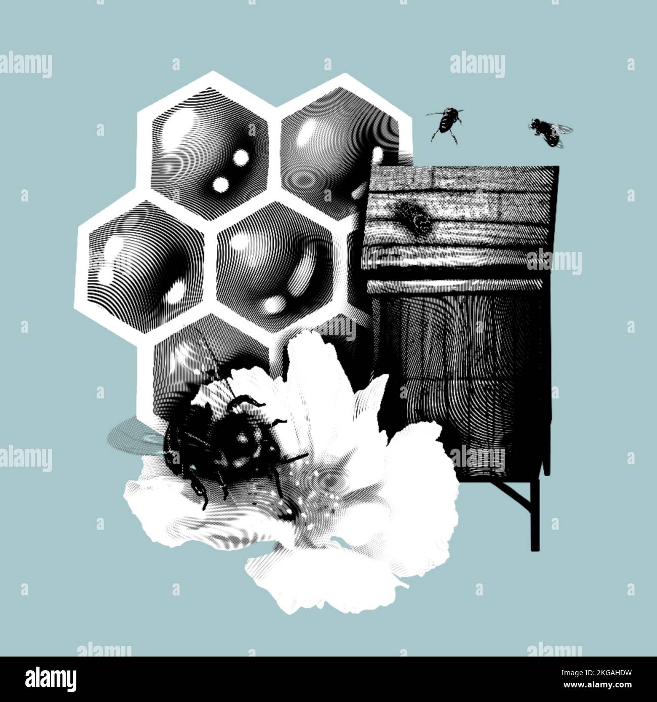 honey composition. graphic engraving realistic illustration of honey ...