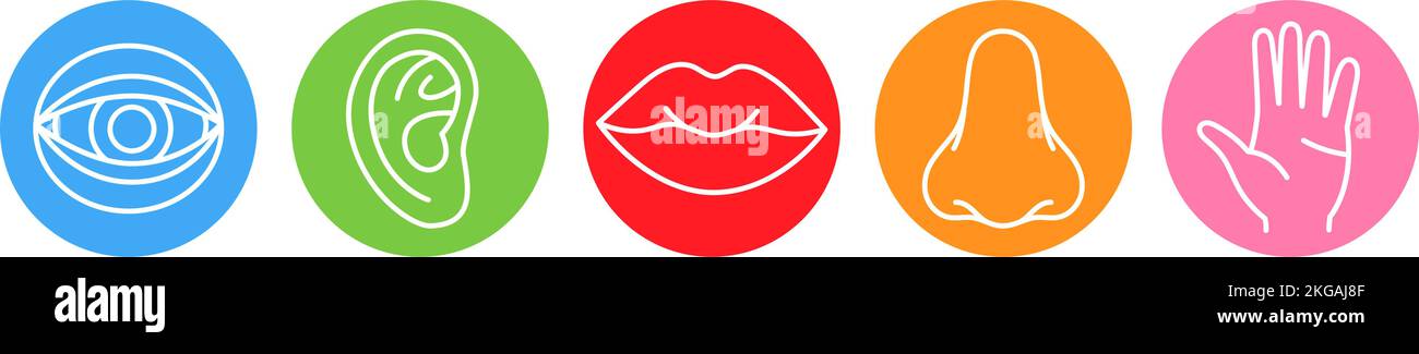 Five human senses line icons set. Vision, smell, hearing, touch, taste ...