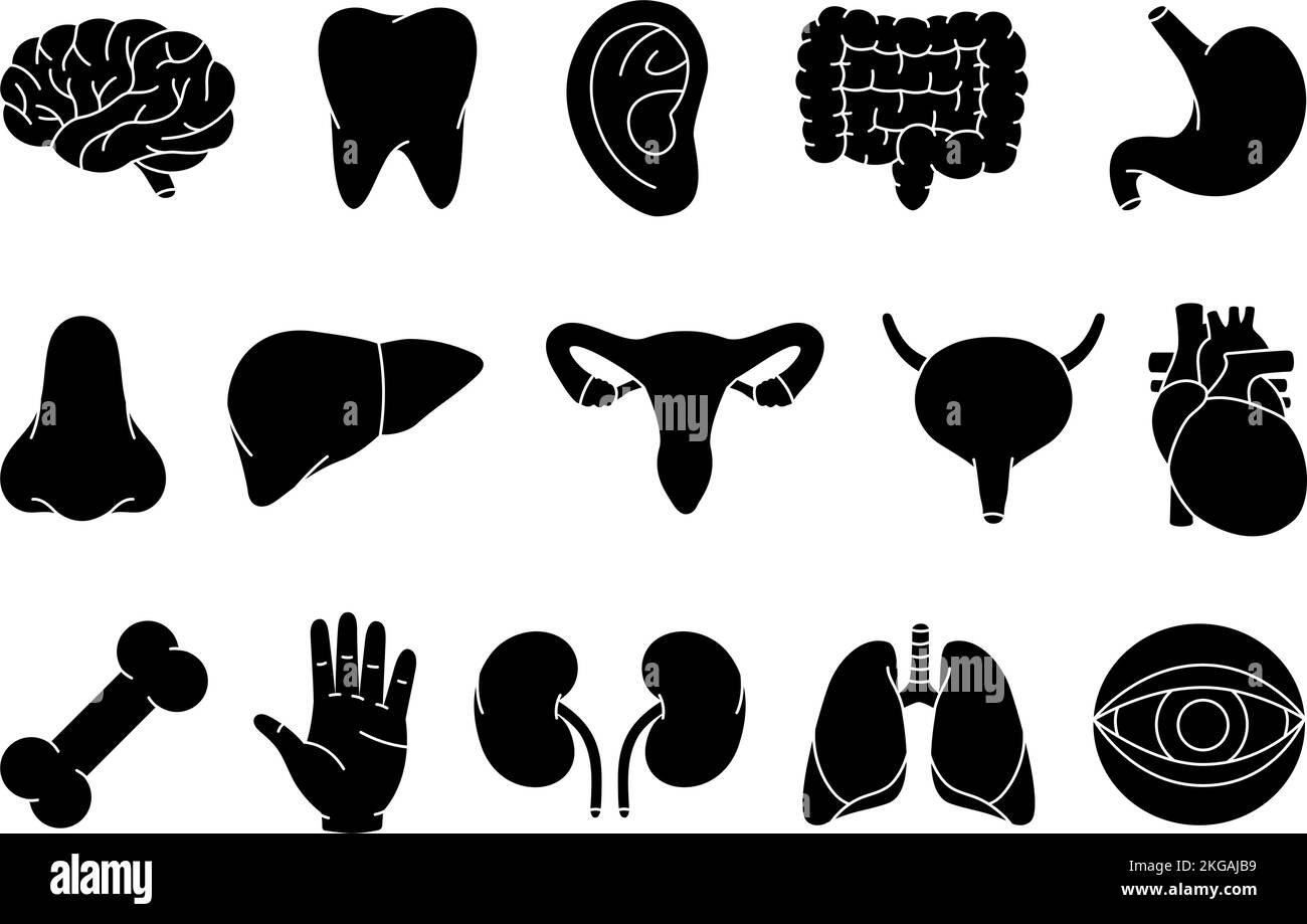 Human organs black sketch set. Brain, tooth, ear, intestines, stomach ...
