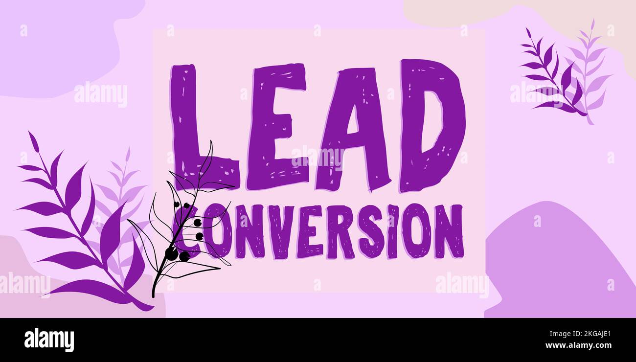Conceptual display Lead Conversion. Business overview Process of ...